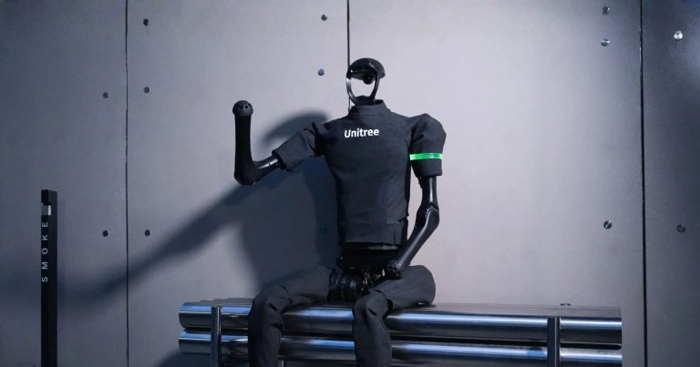 Unitree: Vision AI for Embodied Intelligence - RealSense